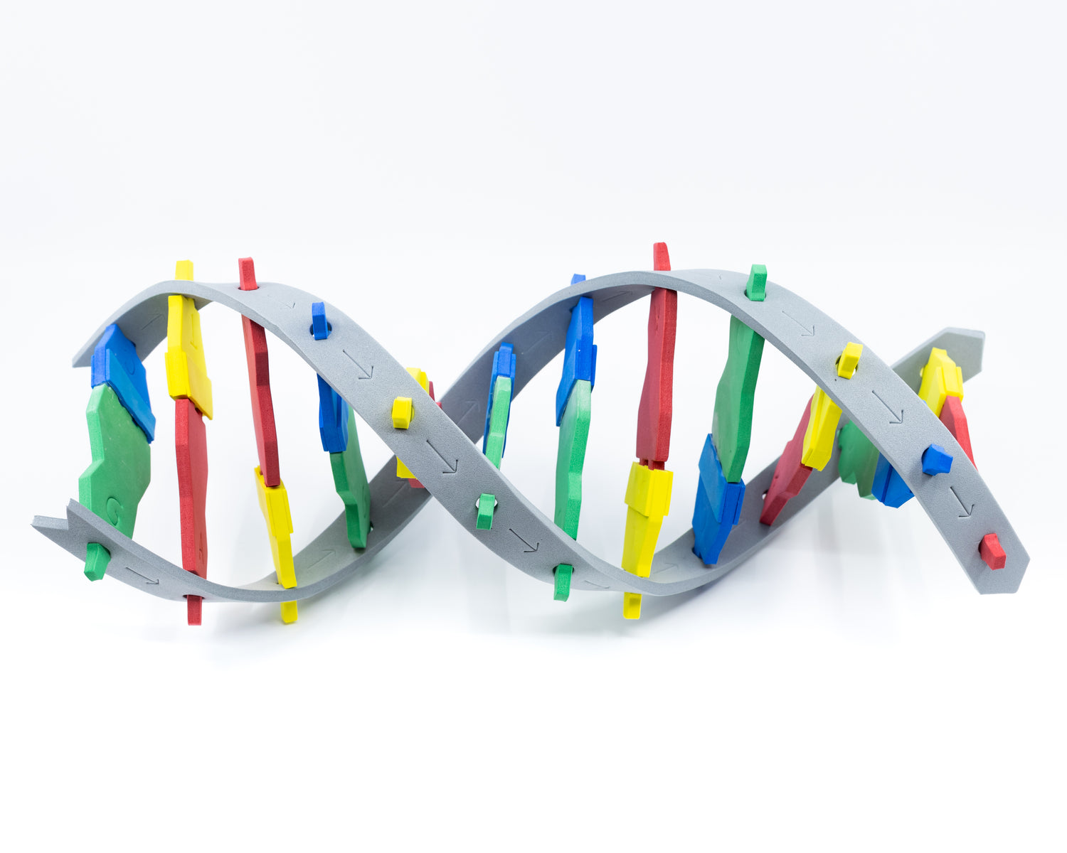DNA Starter Kit©