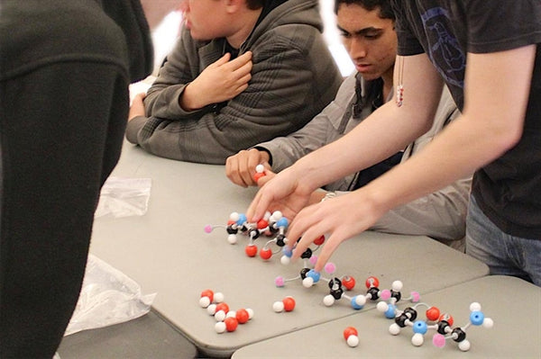 Amino Acid Building Block Models©