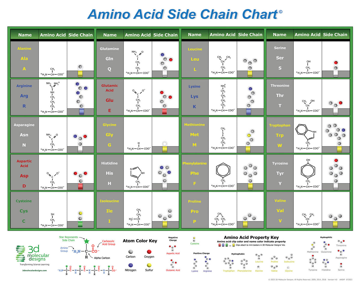Amino Acid Starter Kit Poster©