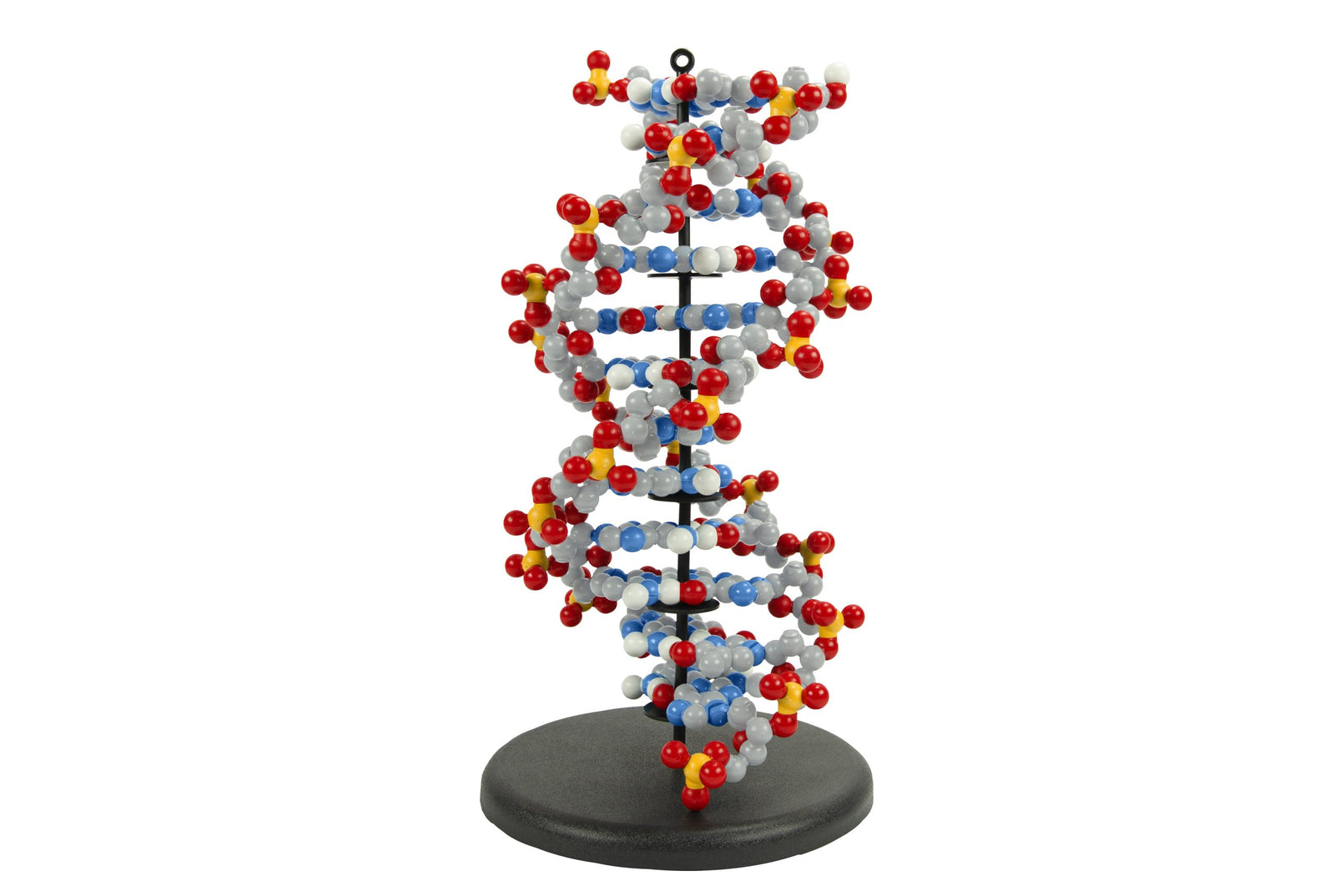 Dynamic DNA Kit©
