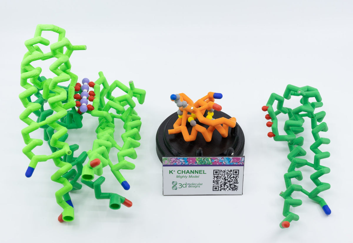 Mighty Model Channel Protein Collection©
