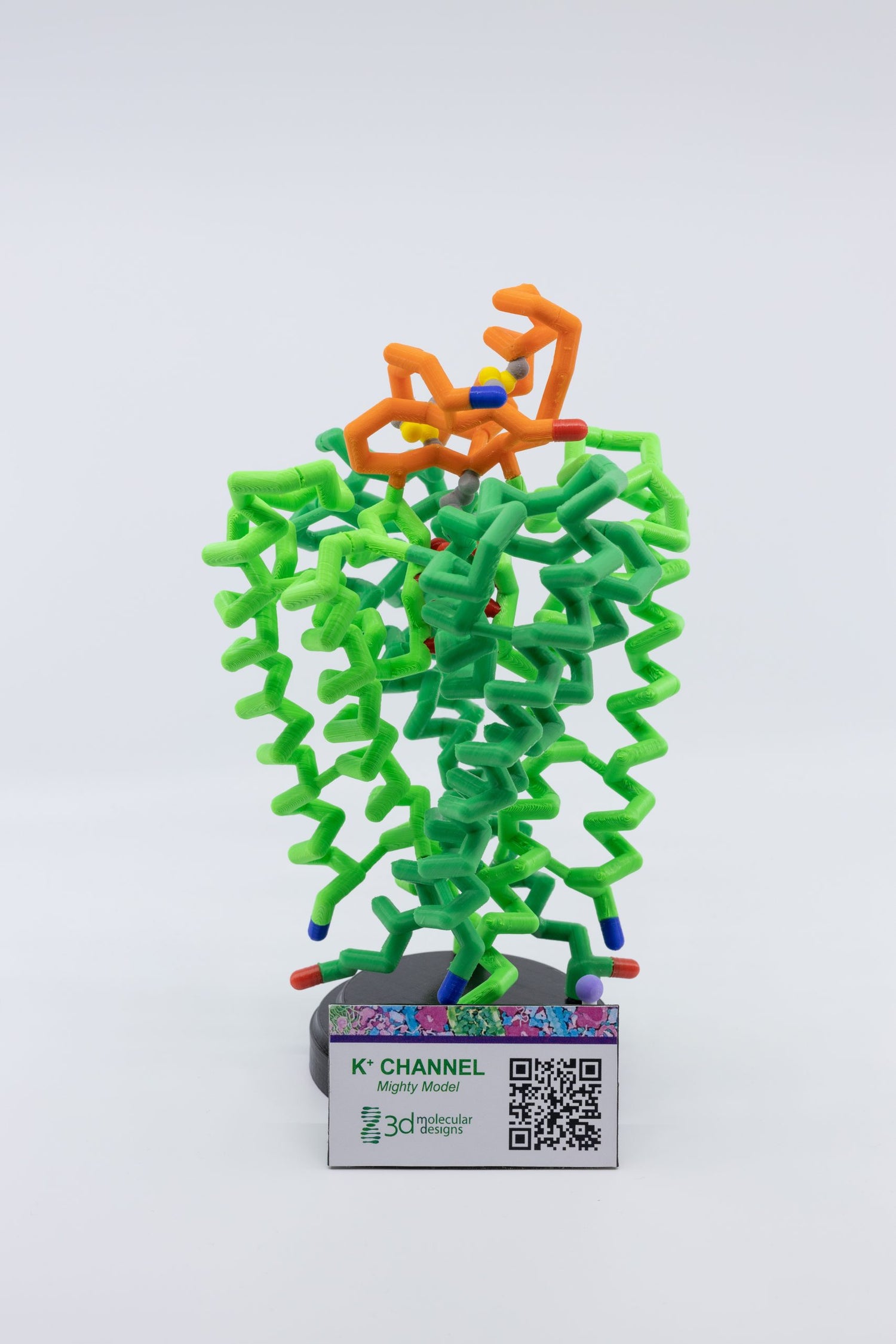 Mighty Model Channel Protein Collection©