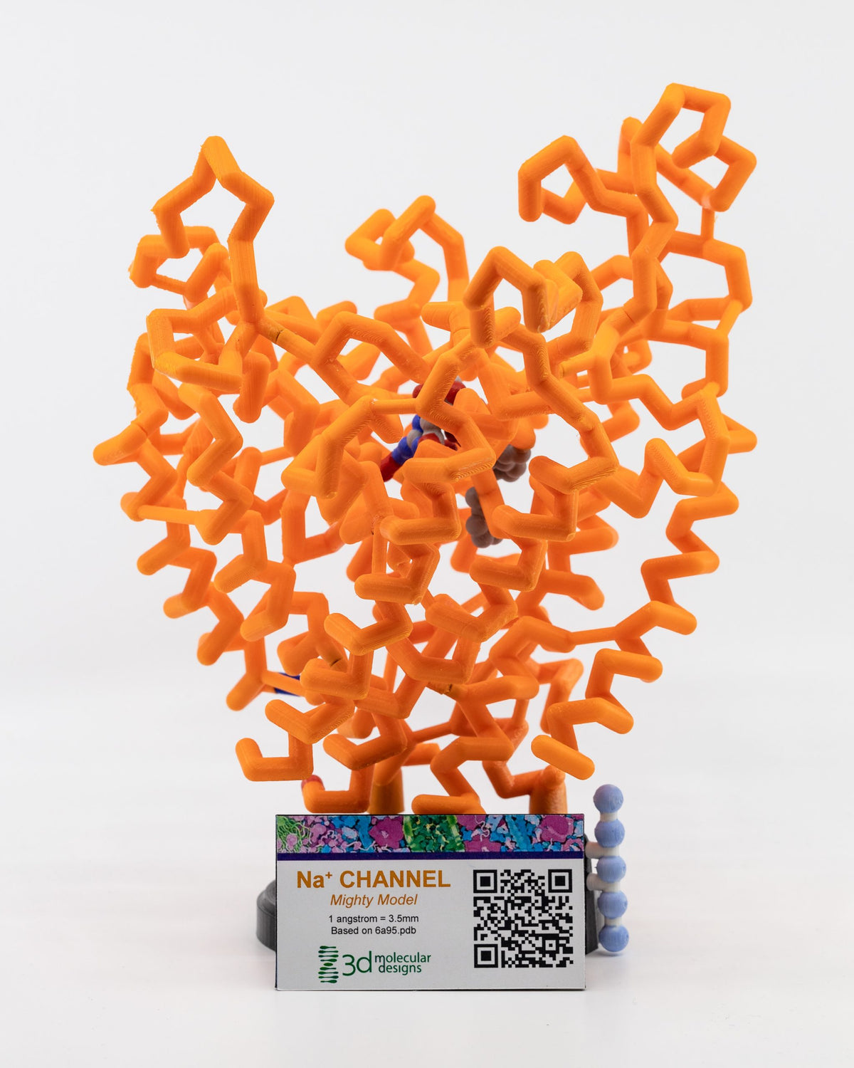 Mighty Model Channel Protein Collection©