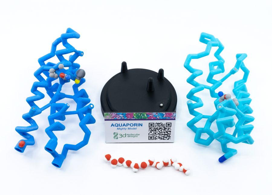 Mighty Model Channel Protein Collection©