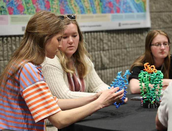 Mighty Model Channel Protein Collection©