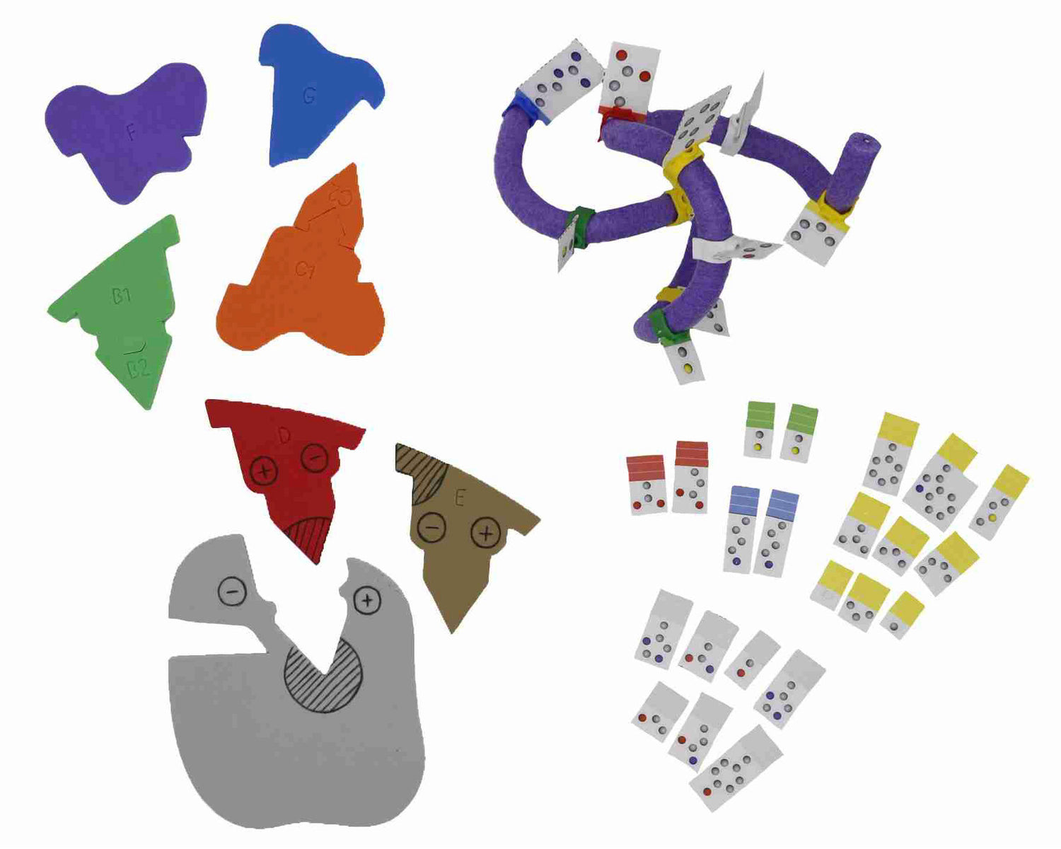 Protein Student Modeling Pack©